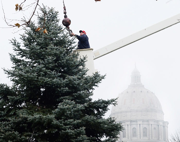 Oh Christmas tree, your leaves so unchanging are coming to see us ...