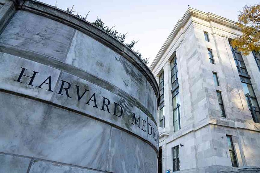 Harvard Medical School explosion suspects plead guilty, face up to five ...