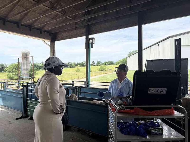 LU faculty, students share agricultural research on farm field day ...