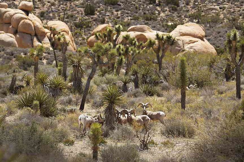 Senate committee approves public land reauthorization fund | Jefferson ...