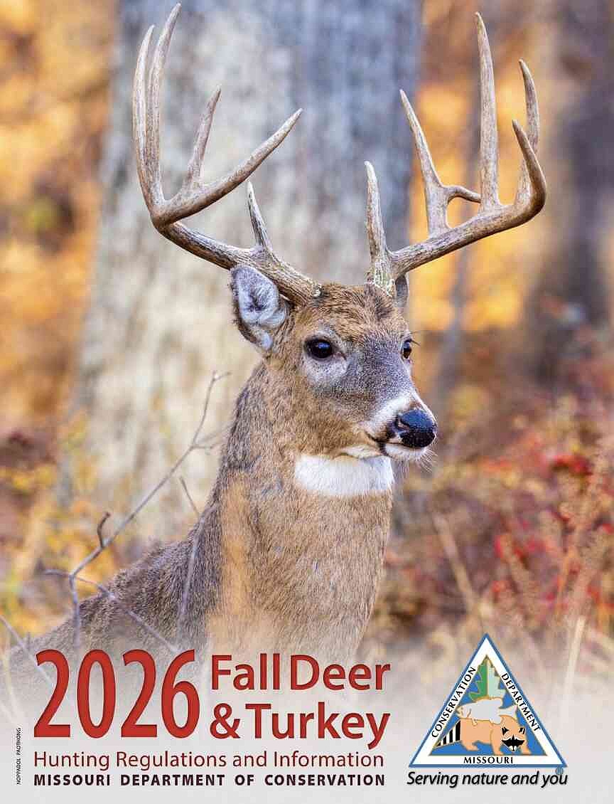 Applications open in Missouri for state, city managed deer hunts ...