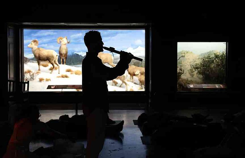Unconventional taxidermy sound bath at Natural History Museum ...